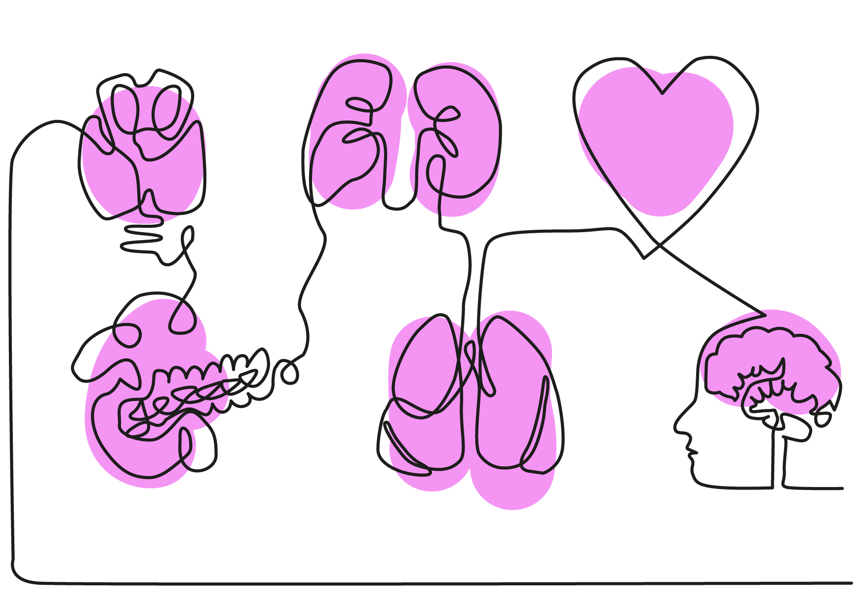 Der Meganerv und unsere Atmung
